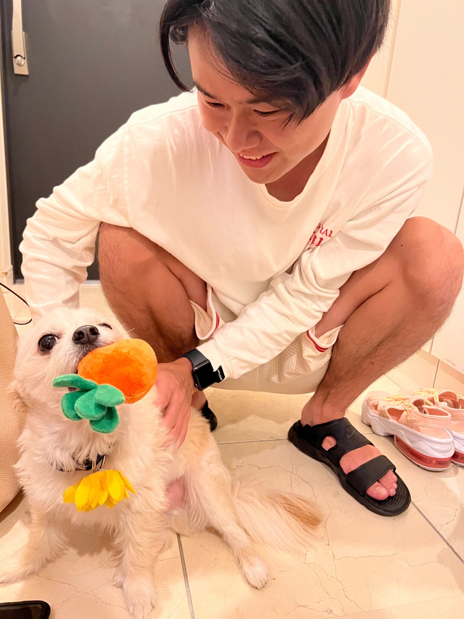 freee(フリー)｜PayPayとなぜ連携できないのか解説！ » Money Lab Tokyo